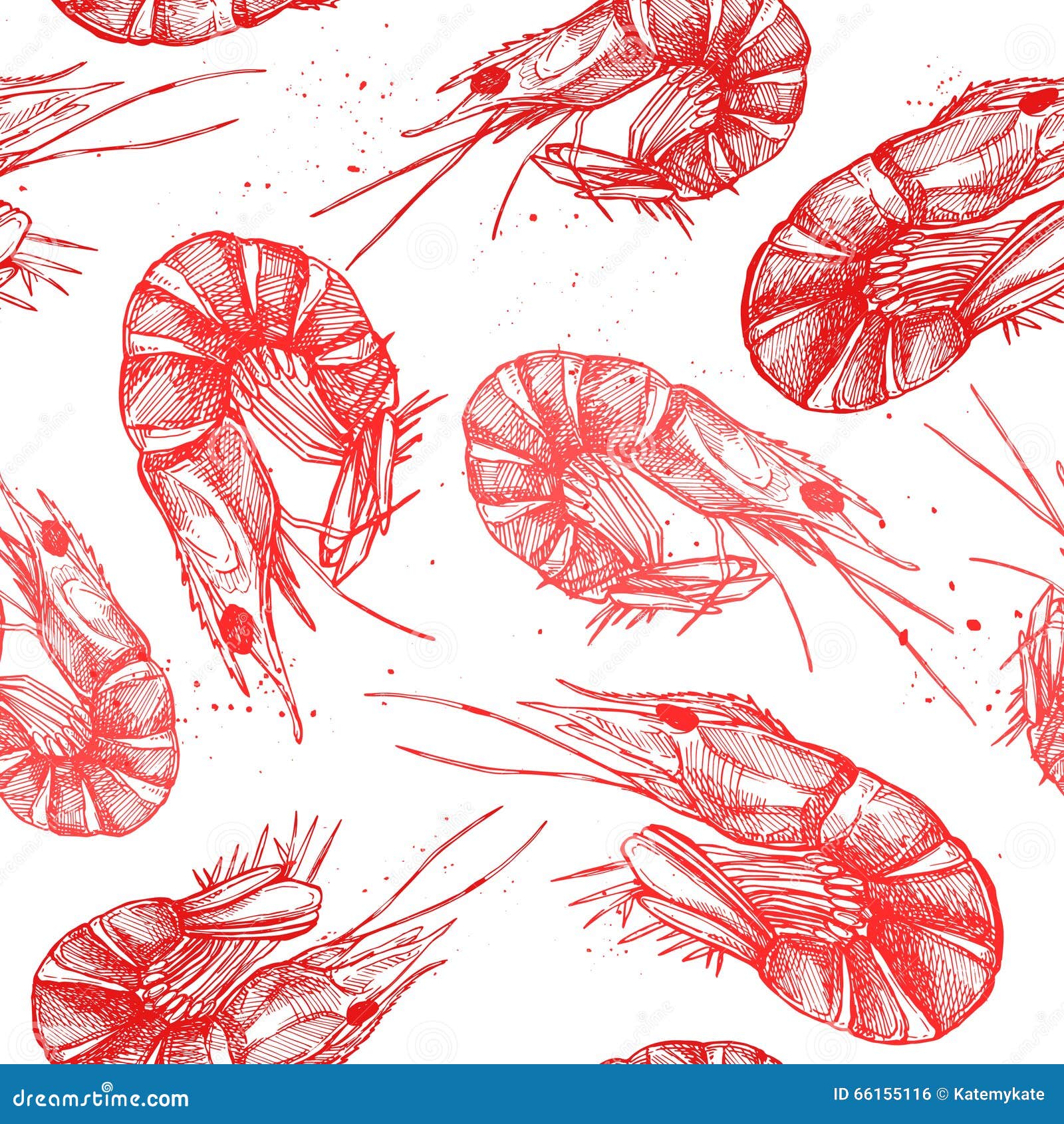 Hand Drawn Vector Illustration - Seamless Patterns with Shrimp. Stock ...