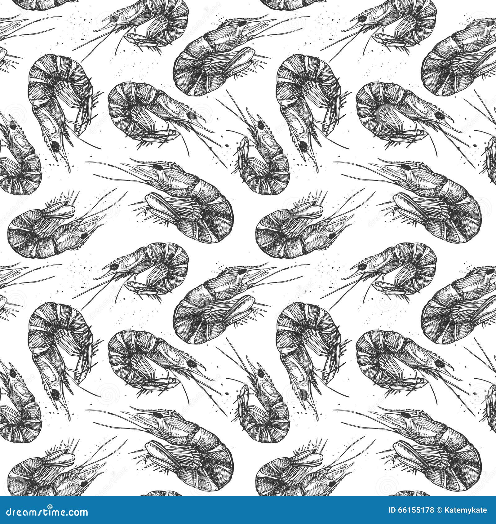 Krill. Hand Drawn Black Vector Pen Realistic Illustration ...