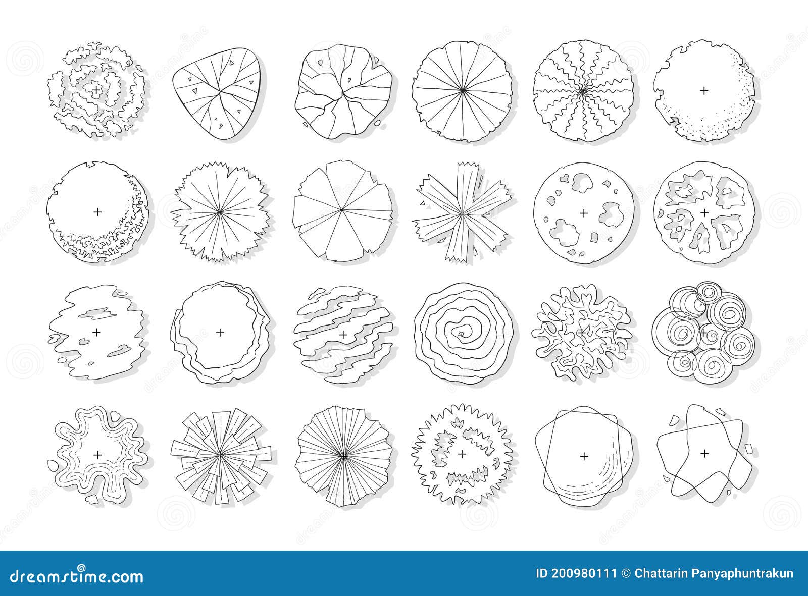 Hand Drawn Vector Illustration Set of Top View Tree Isolated on White ...