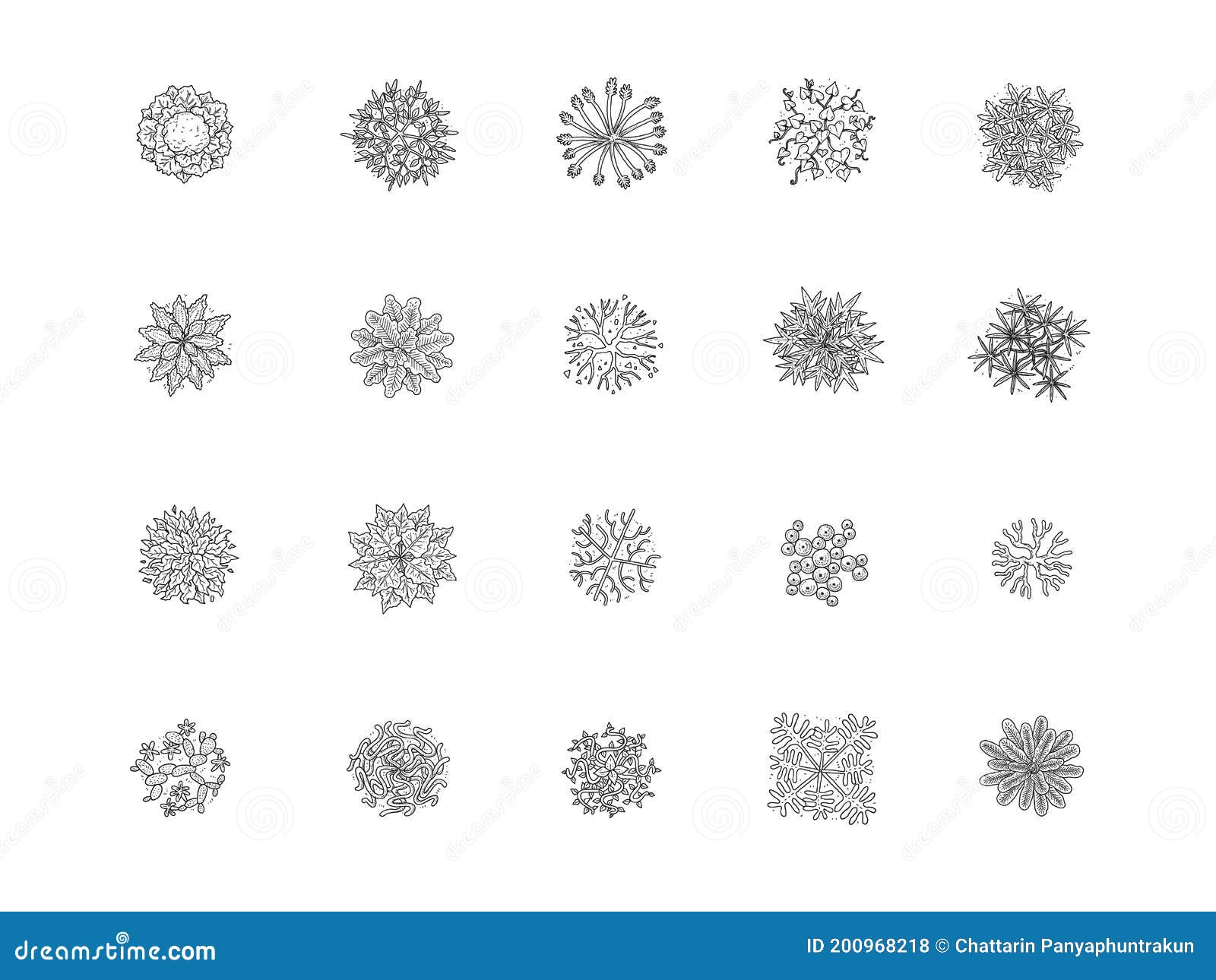 Hand Drawn Vector Illustration Set of Top View Tree Isolated on White ...