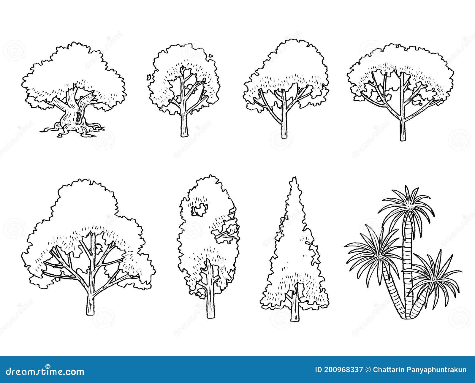 Hand Drawn Vector Illustration of Side View Tree Isolated on White ...
