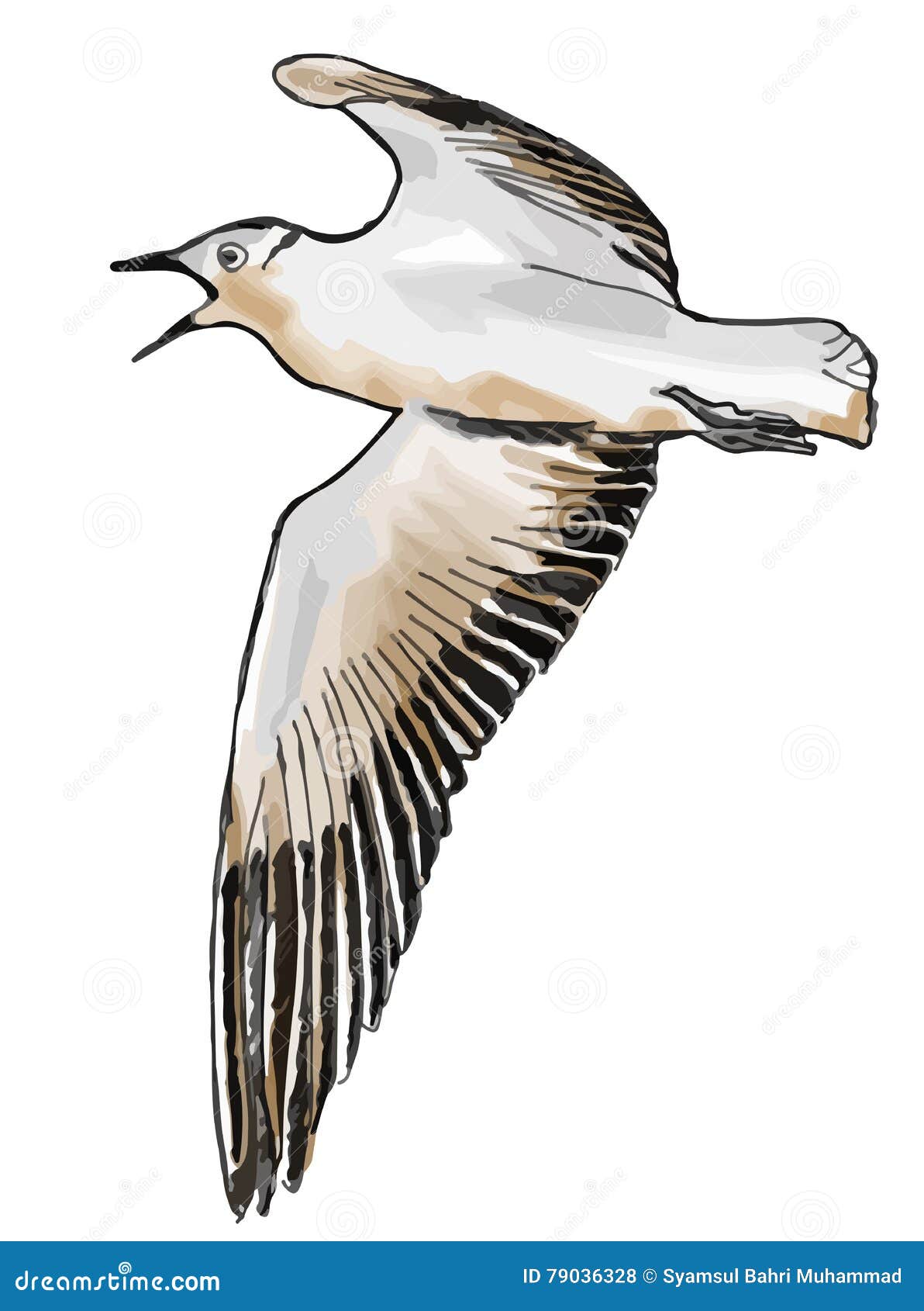 A Hand Drawn Vector Illustration Sketch of a Seagull Stock Vector ...