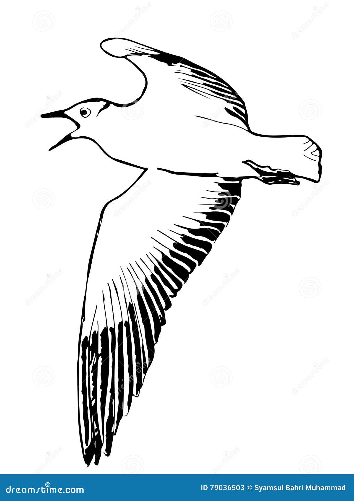 A Hand Drawn Vector Illustration Sketch of a Seagull Stock Vector ...