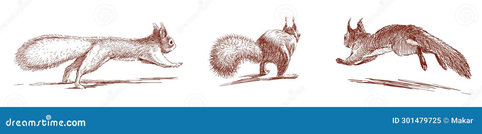 Hand Drawn Vector Illustration of Three Red Nimble Fluffy Funny Forest ...