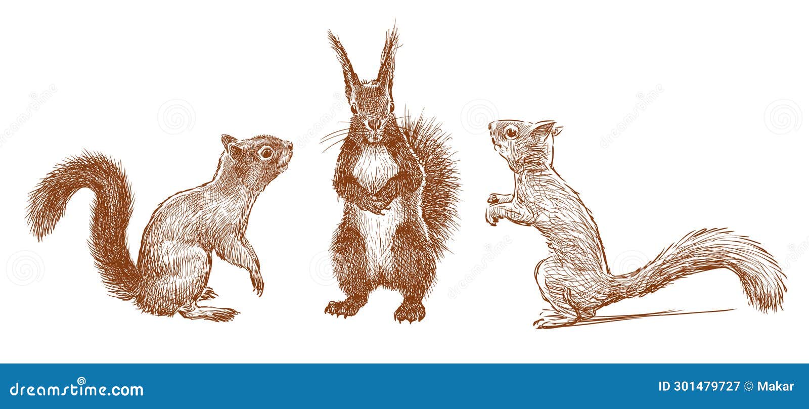 Hand Drawn Vector Illustration of Three Red Nimble Fluffy Funny Forest ...