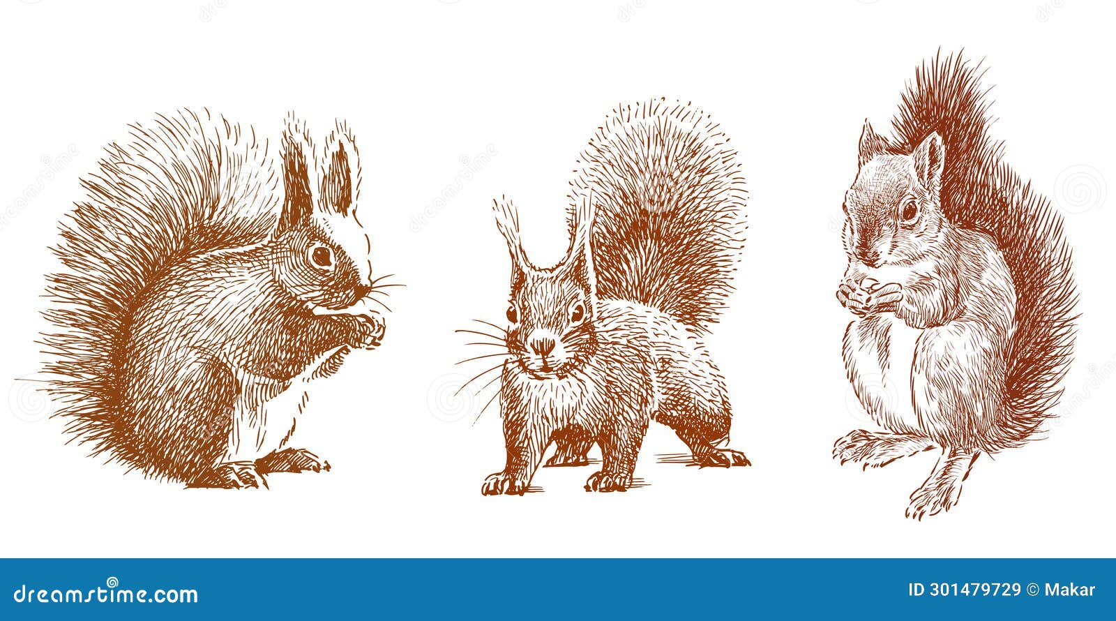 Hand Drawn Vector Illustration of Three Red Nimble Fluffy Funny Forest ...