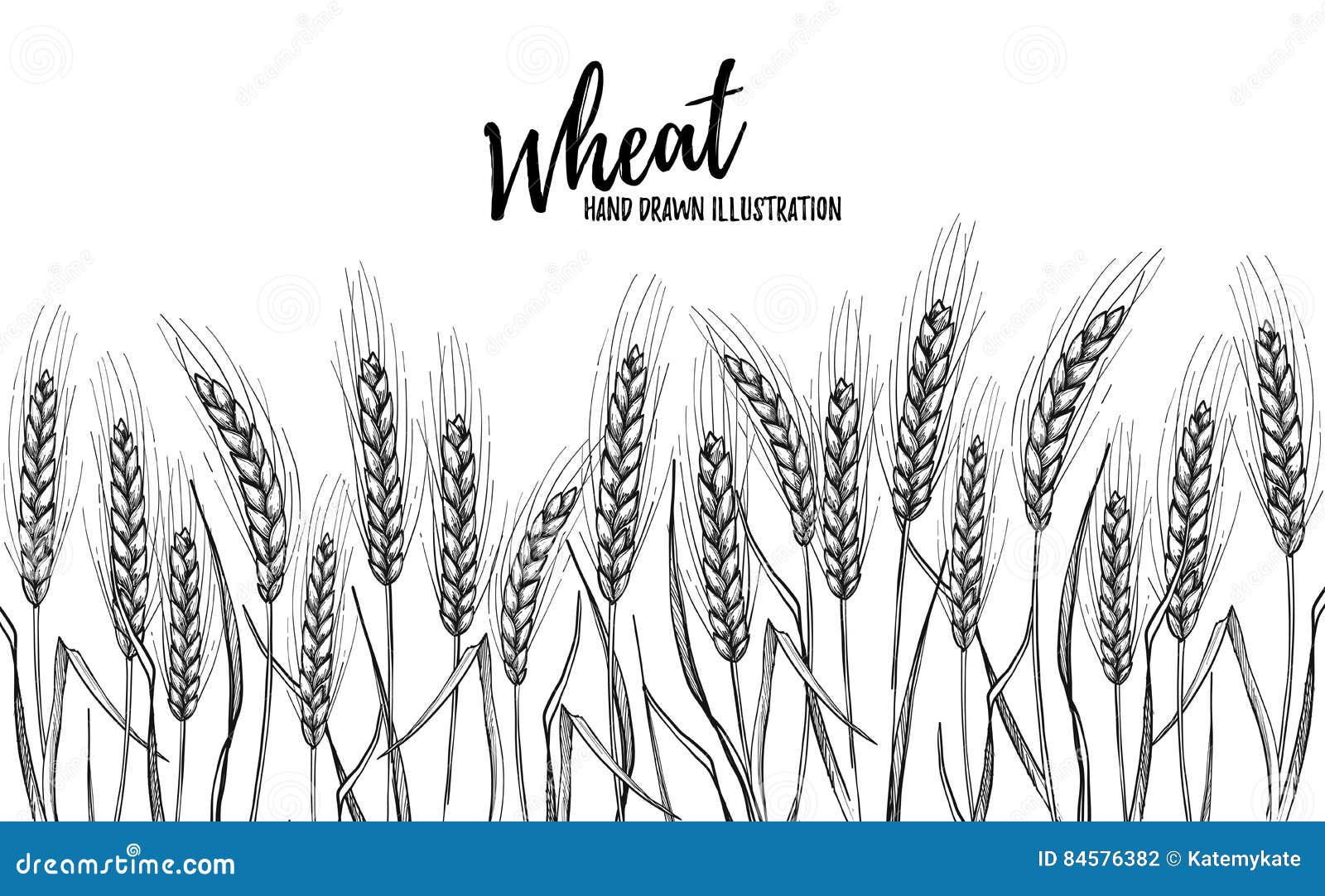 Wheat Bread Template Vector Illustration | CartoonDealer.com #41138182