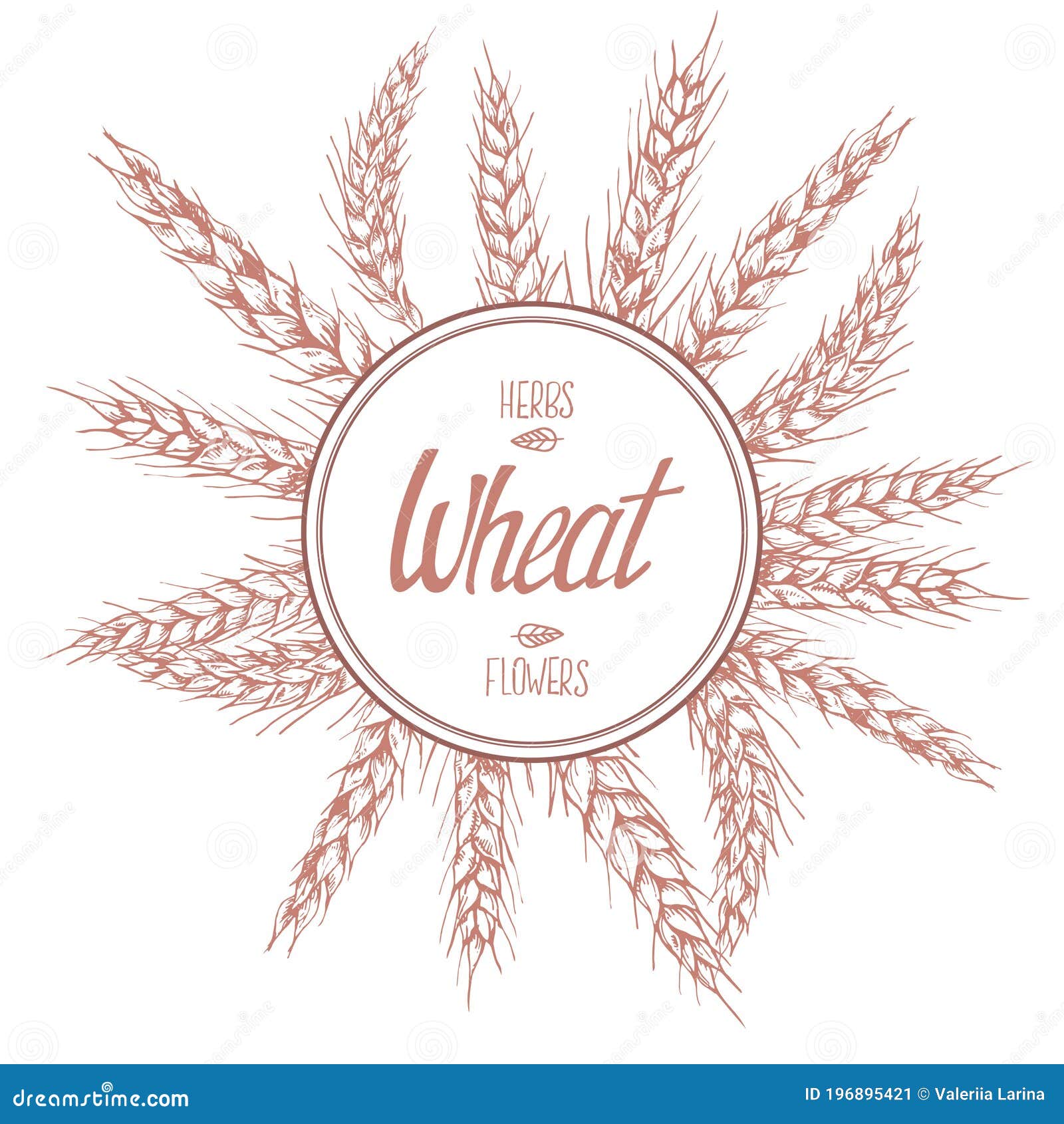 Hand Drawn Vector Illustration of Wheat Stems with Lettering Stock ...