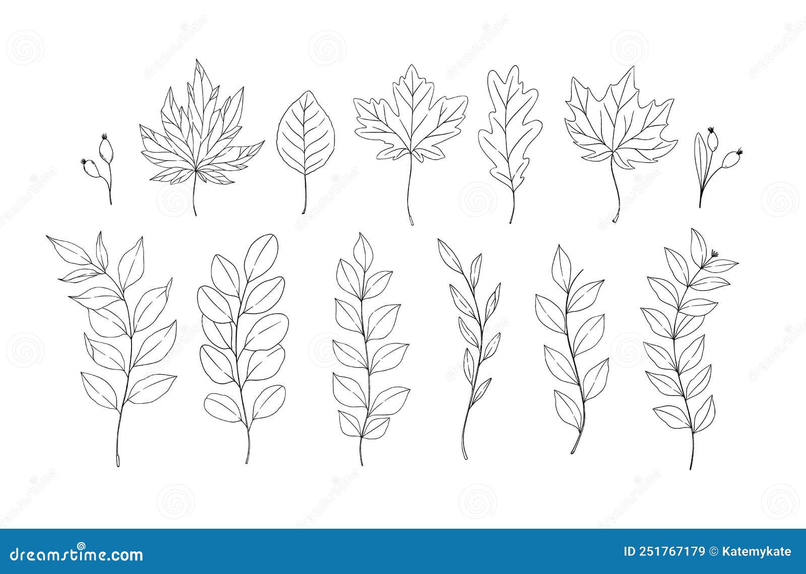 Hand Drawn Vector Illustrations. Botanical Forest Branches and Fall ...