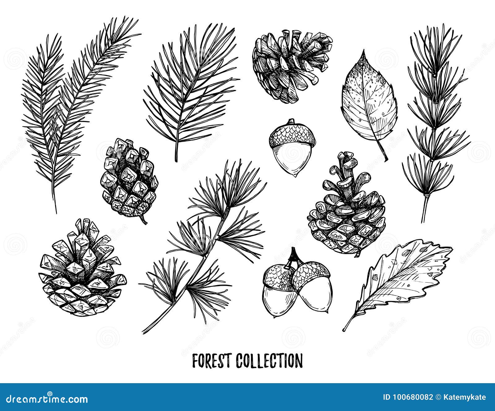Hand Drawn Vector Illustrations - Forest Autumn Collection. Spruce ...