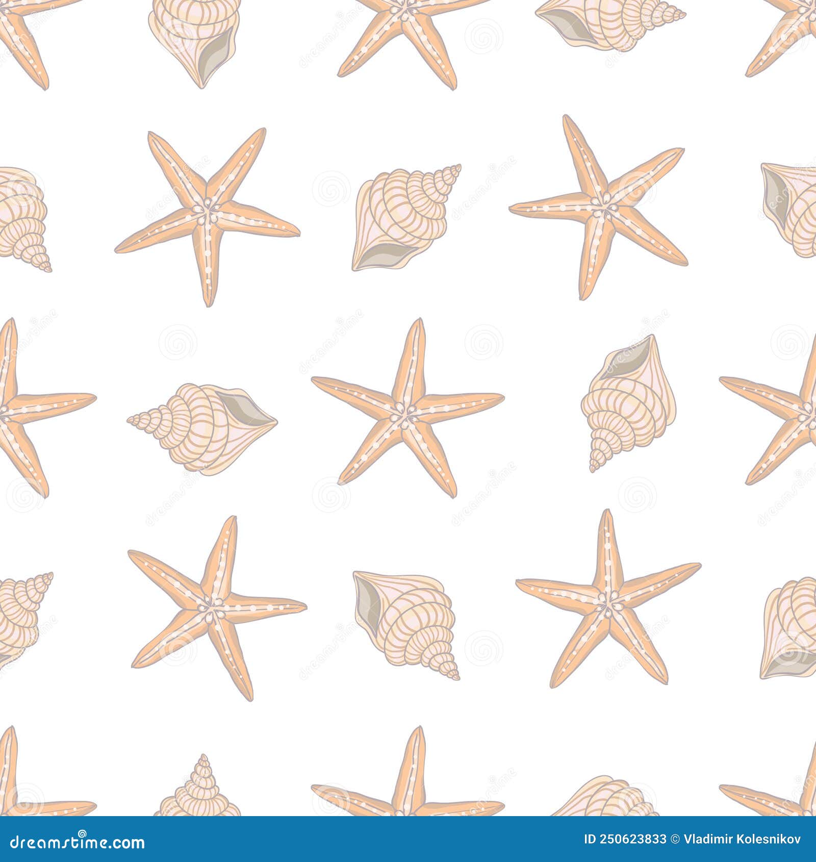 Hand Drawn Vector Illustrations - Seamless Pattern of Seashells. Marine ...