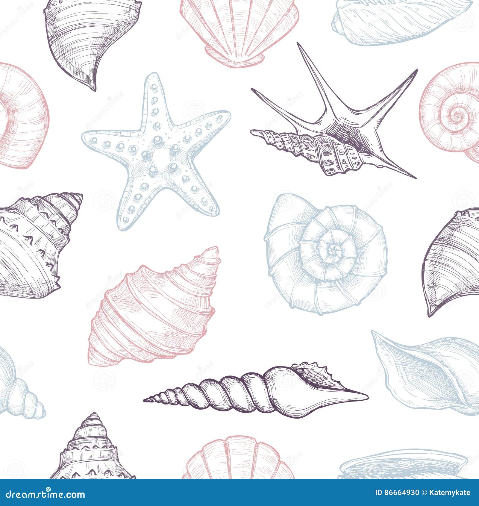Hand Drawn Vector Illustrations - Seamless Pattern of Seashells. Stock ...