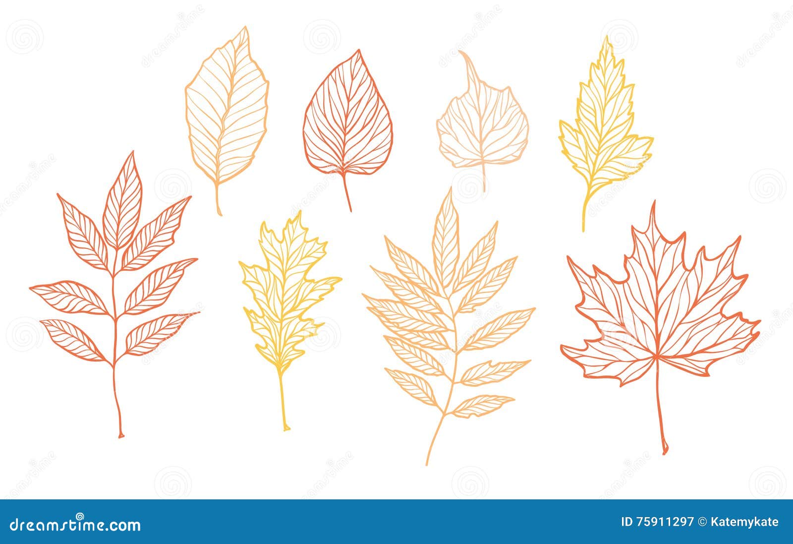 Fall Of The Leaves. Hello Autumn. Are Drawn. Backgrounds With Hand ...