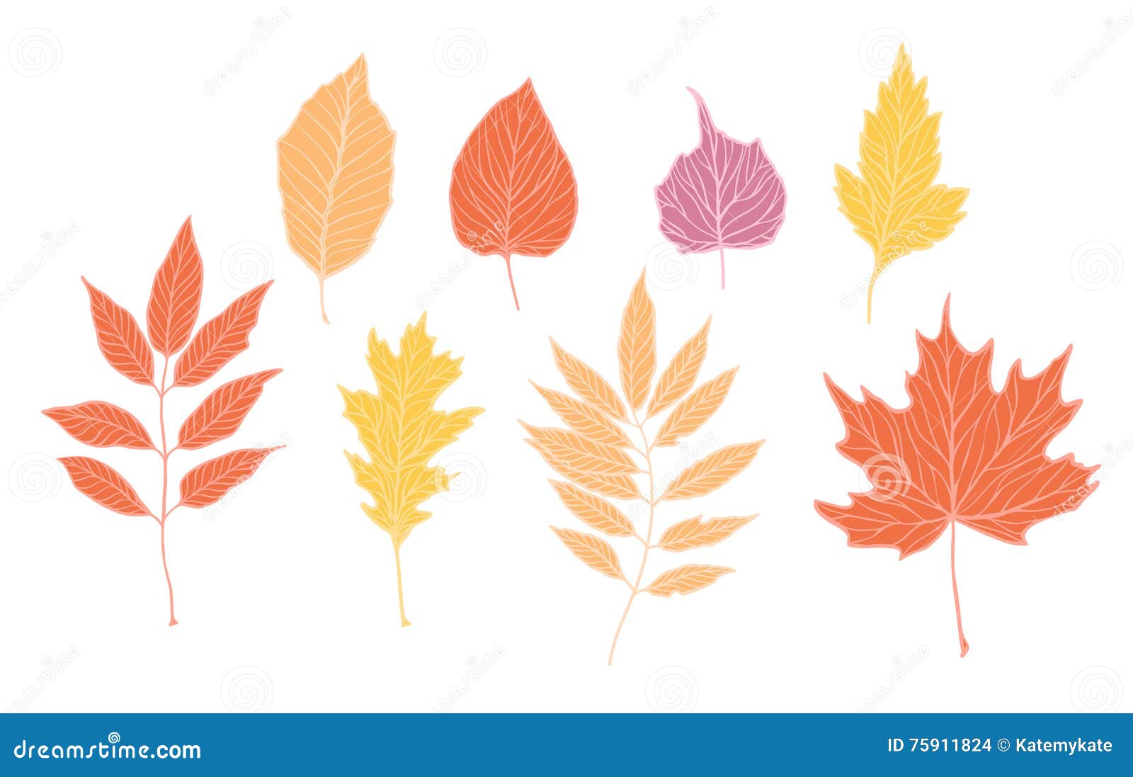 Hand Drawn Vector Illustrations. Set of Fall Leaves Stock Vector ...