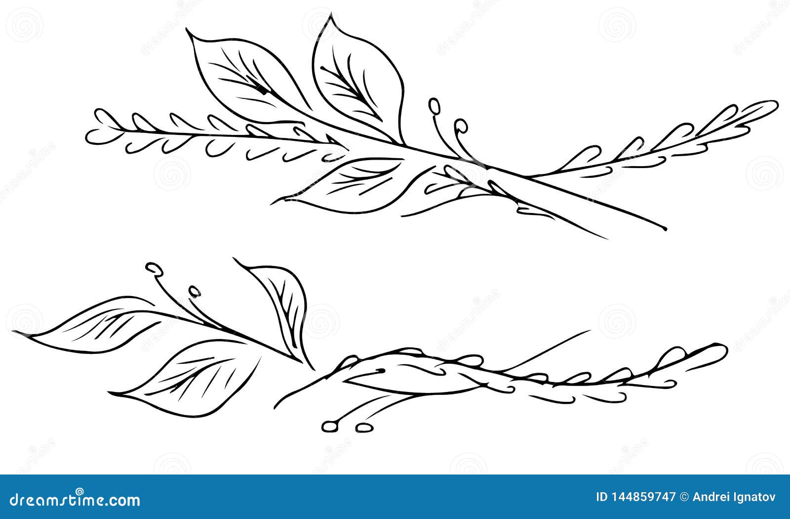 Hand Drawn Vector Illustrations of Two Branches with Flowers and Leaves ...