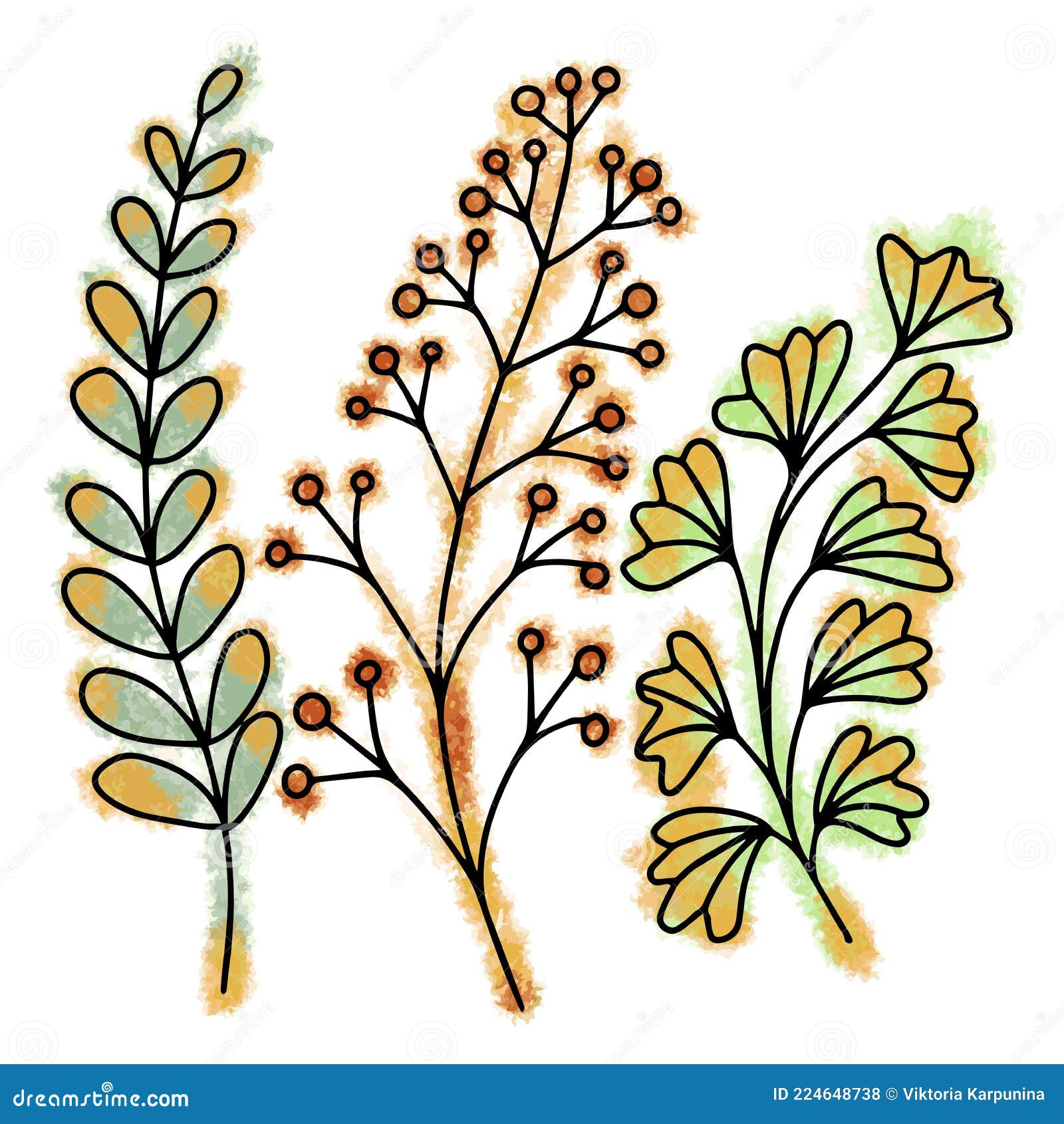 Hand Drawn Vector Pattern of Abstract Herbs Composition. Stock Vector ...