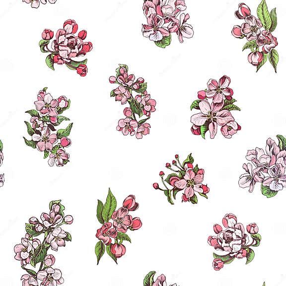 Hand Drawn Vector Pattern with Apple Blossom Stock Illustration ...
