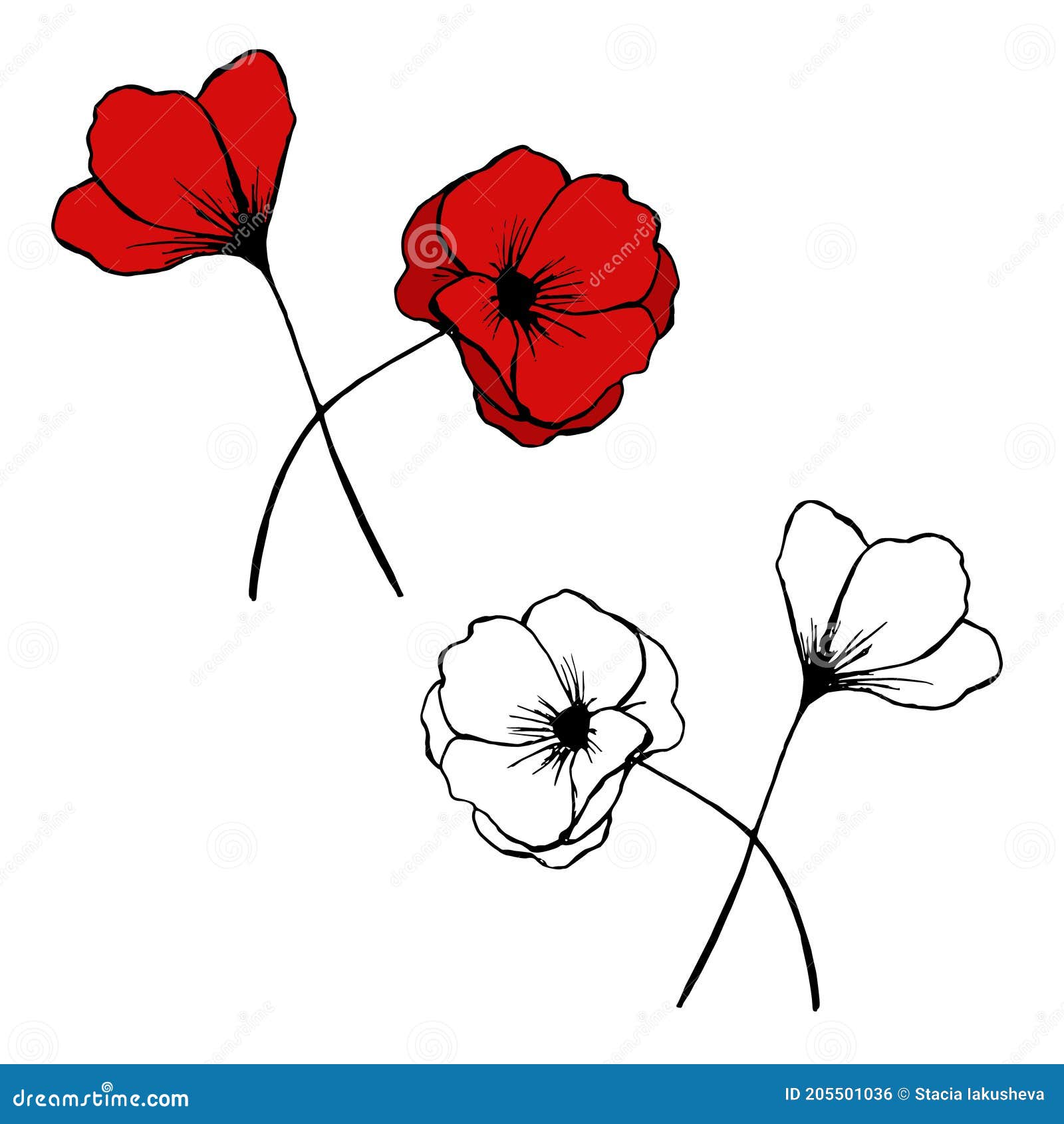 Hand Drawn Vector Poppies Doodle Stock Illustration - Illustration of ...