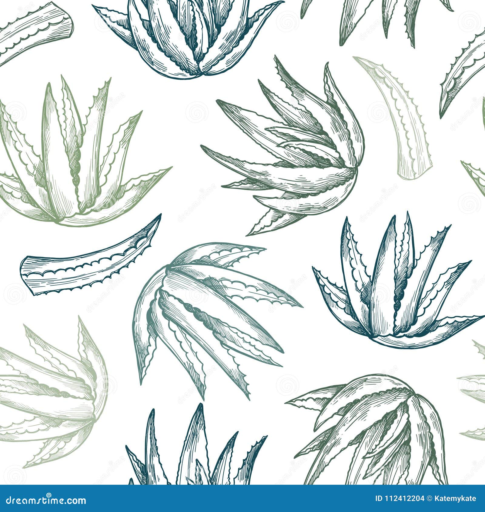 Hand Drawn Vector Seamless Pattern. Aloe Vera Stock Vector ... Hand Drawn Vector Seamless Pattern. Aloe Vera Stock Vector ...