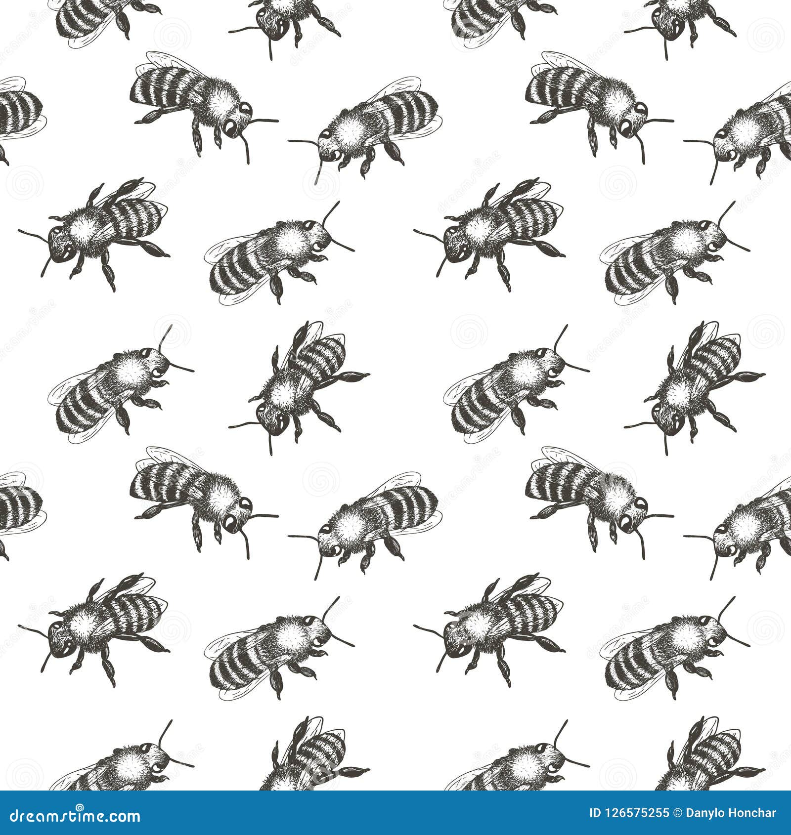 Seamless Pattern with Bees. Hand Drawn Vector Illustration. Stock ...