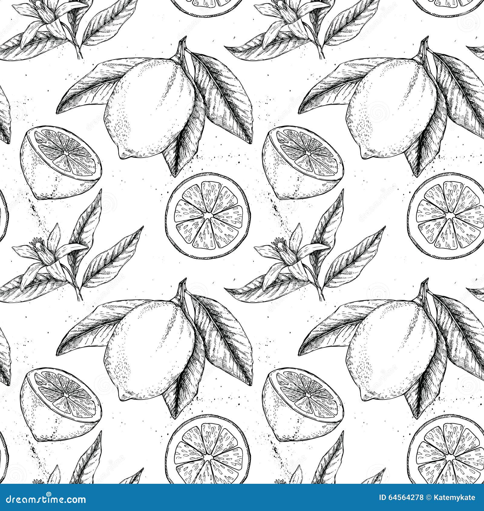 Hand Drawn Vector Seamless Pattern. Collections of Lemons Stock Vector ... Hand Drawn Vector Seamless Pattern. Collections of Lemons Stock Vector ...