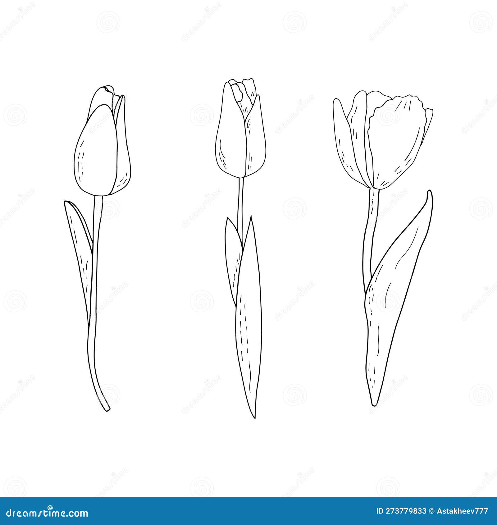 Hand-drawn Vector Set of Outline Tulips with Shading Stock Vector ...