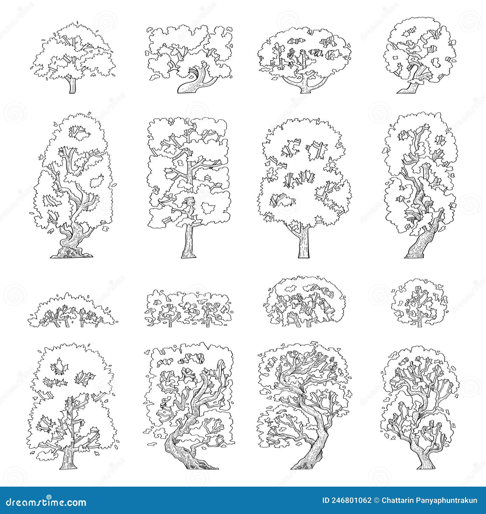 Hand Drawn Vector Set of Side View Trees Stock Vector - Illustration of ...
