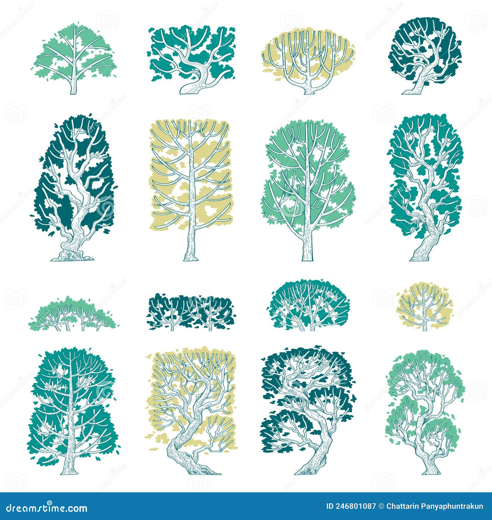 Hand Drawn Vector Set of Side View Trees Stock Illustration ...