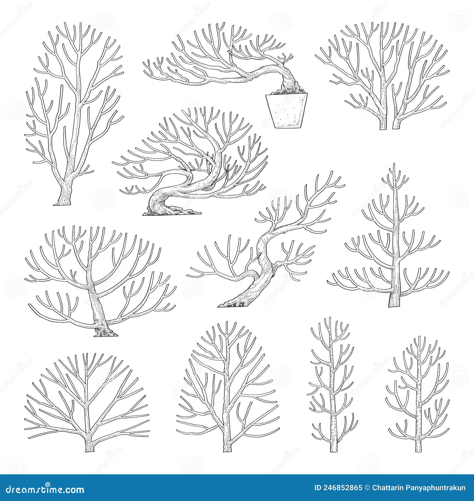 Hand Drawn Vector Set of Side View Trees Stock Illustration ...