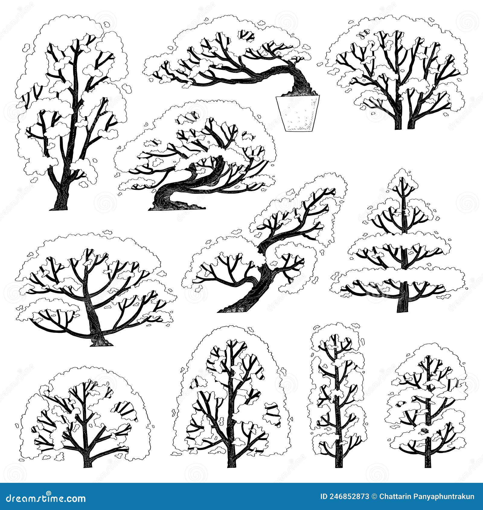 Hand Drawn Vector Set of Side View Trees Stock Illustration ...