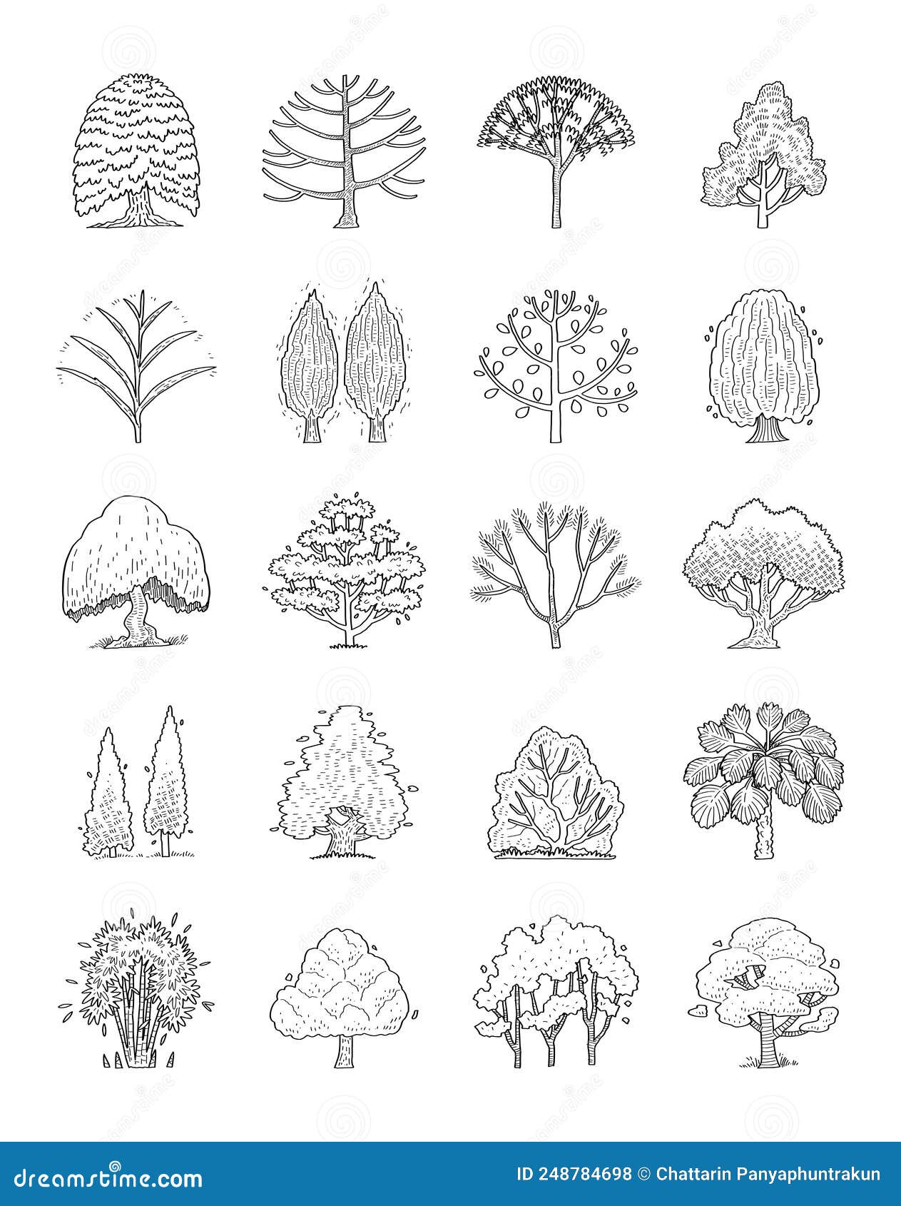 Hand Drawn Vector Set of Side View Trees Stock Illustration ...