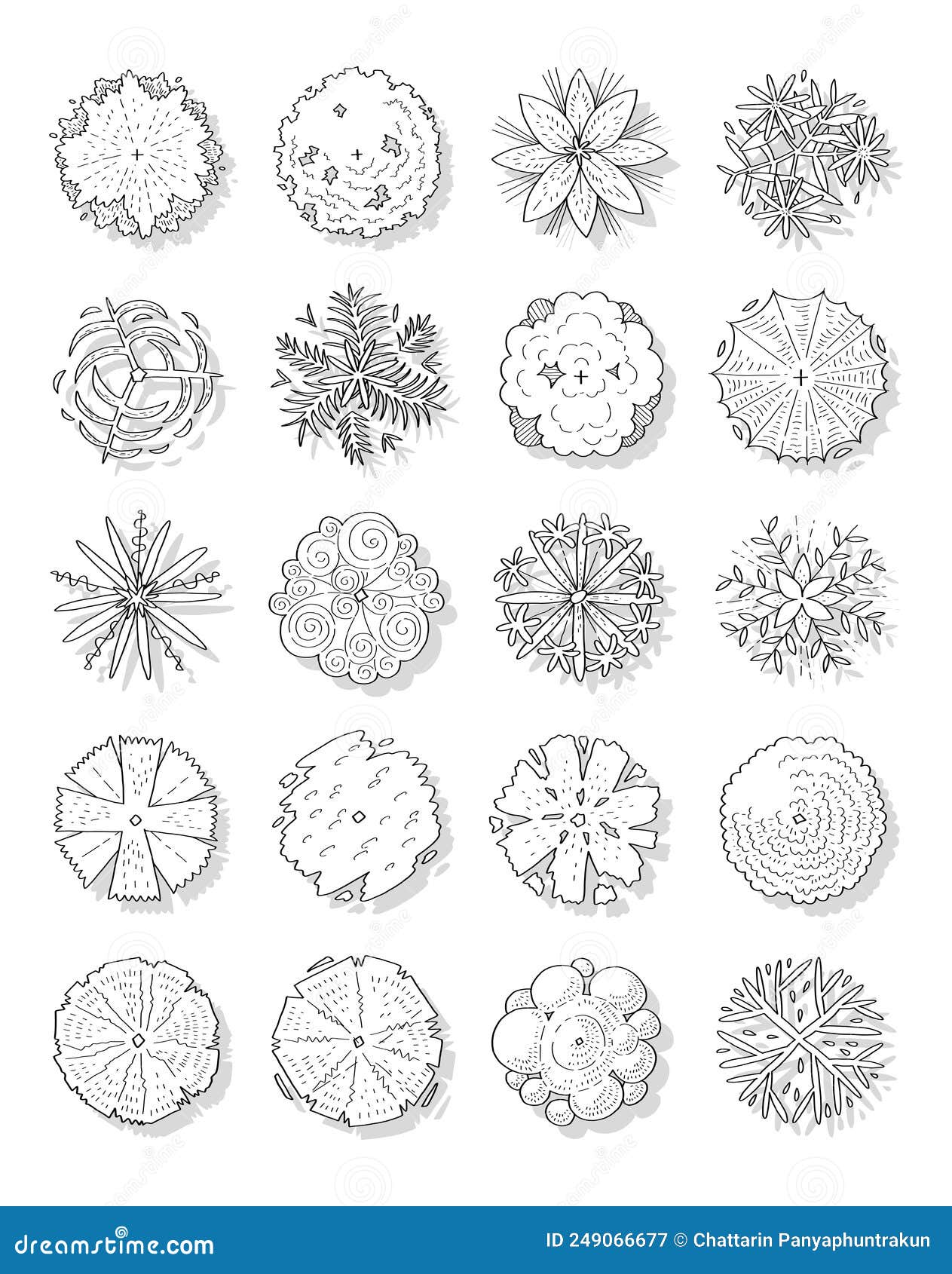 Hand Drawn Vector Set of Top View Trees Stock Vector - Illustration of ...