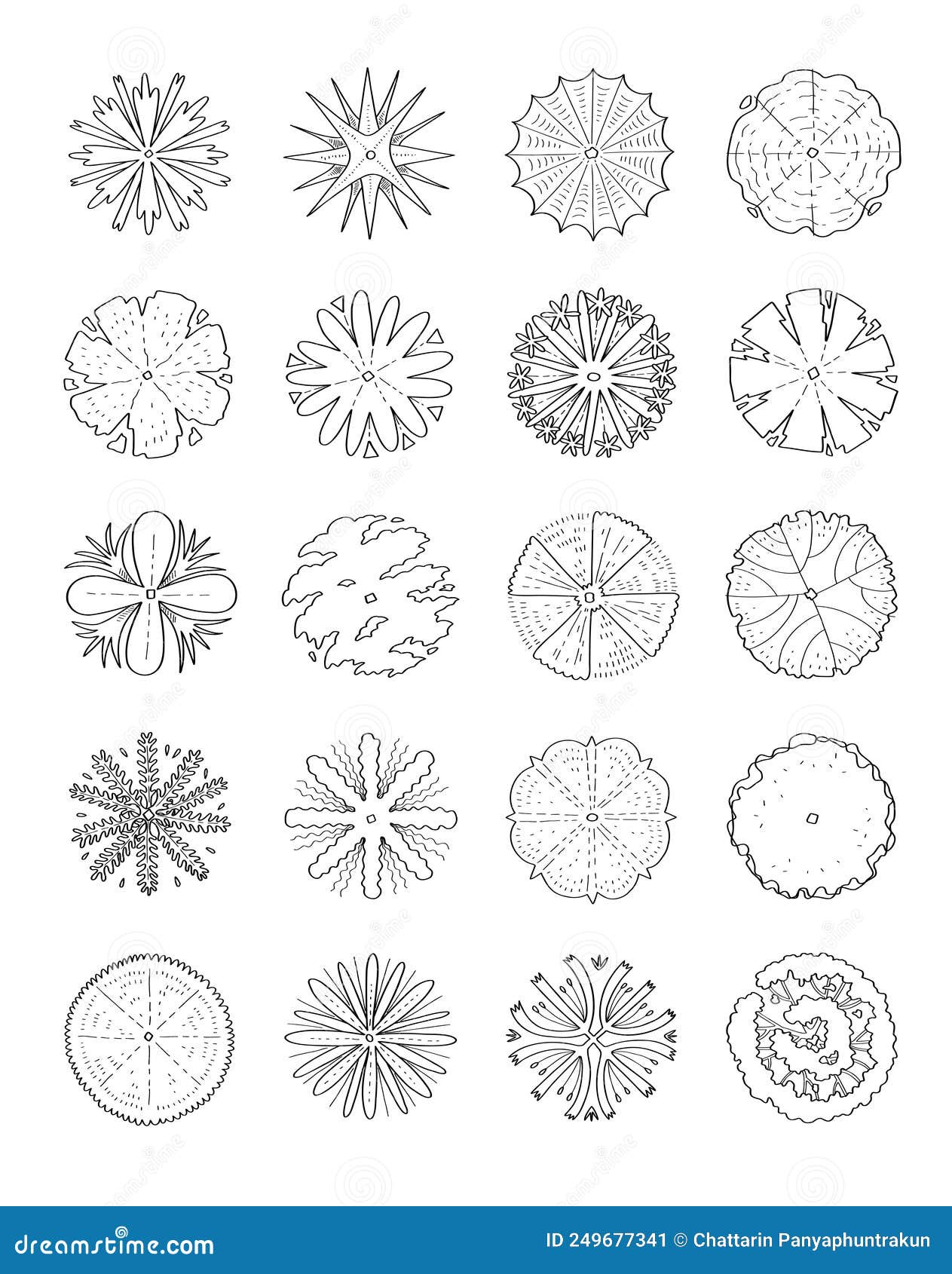 Hand Drawn Vector Set of Top View Trees Stock Illustration ...