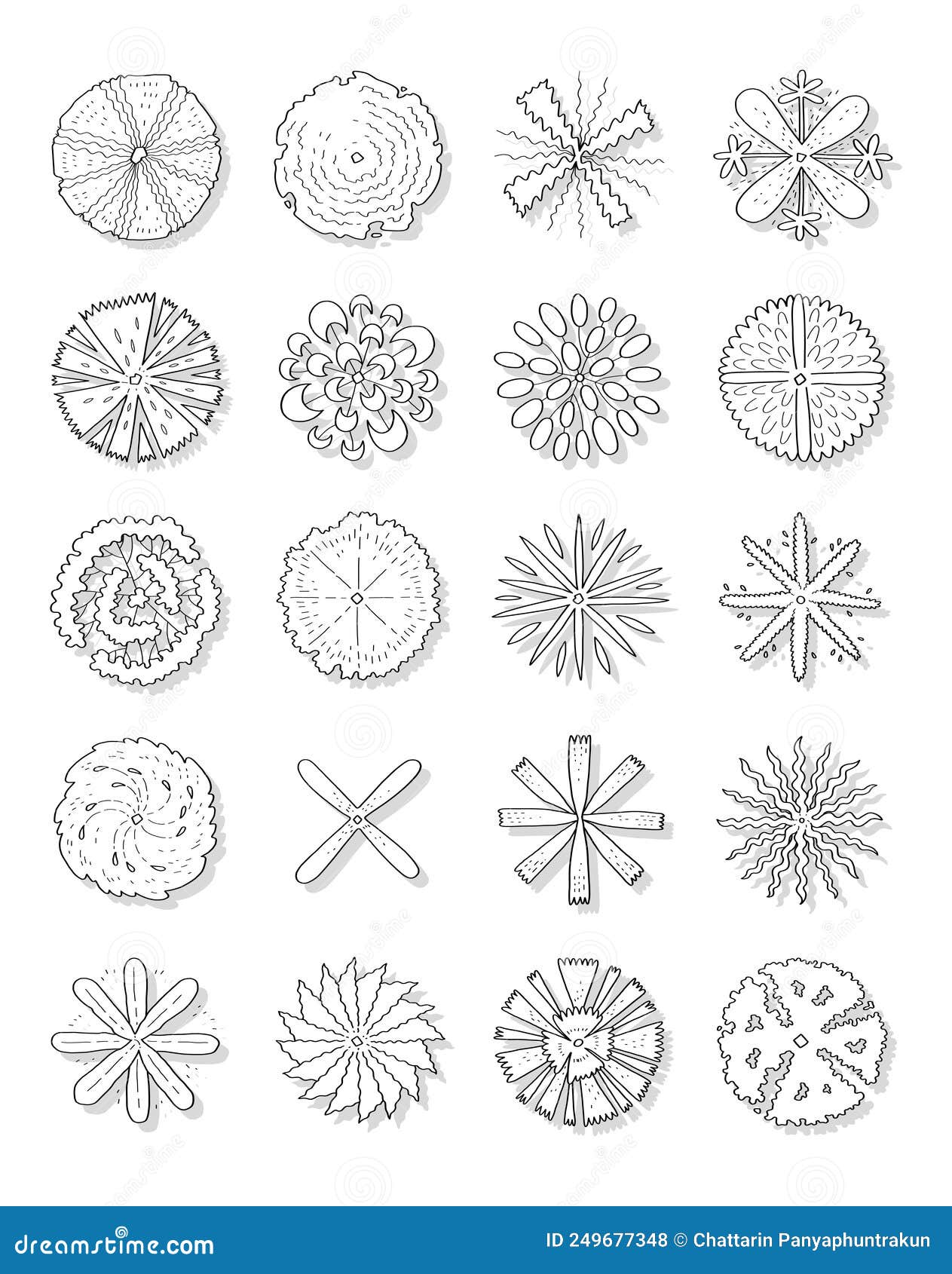 Hand Drawn Vector Set of Top View Trees Stock Illustration ...
