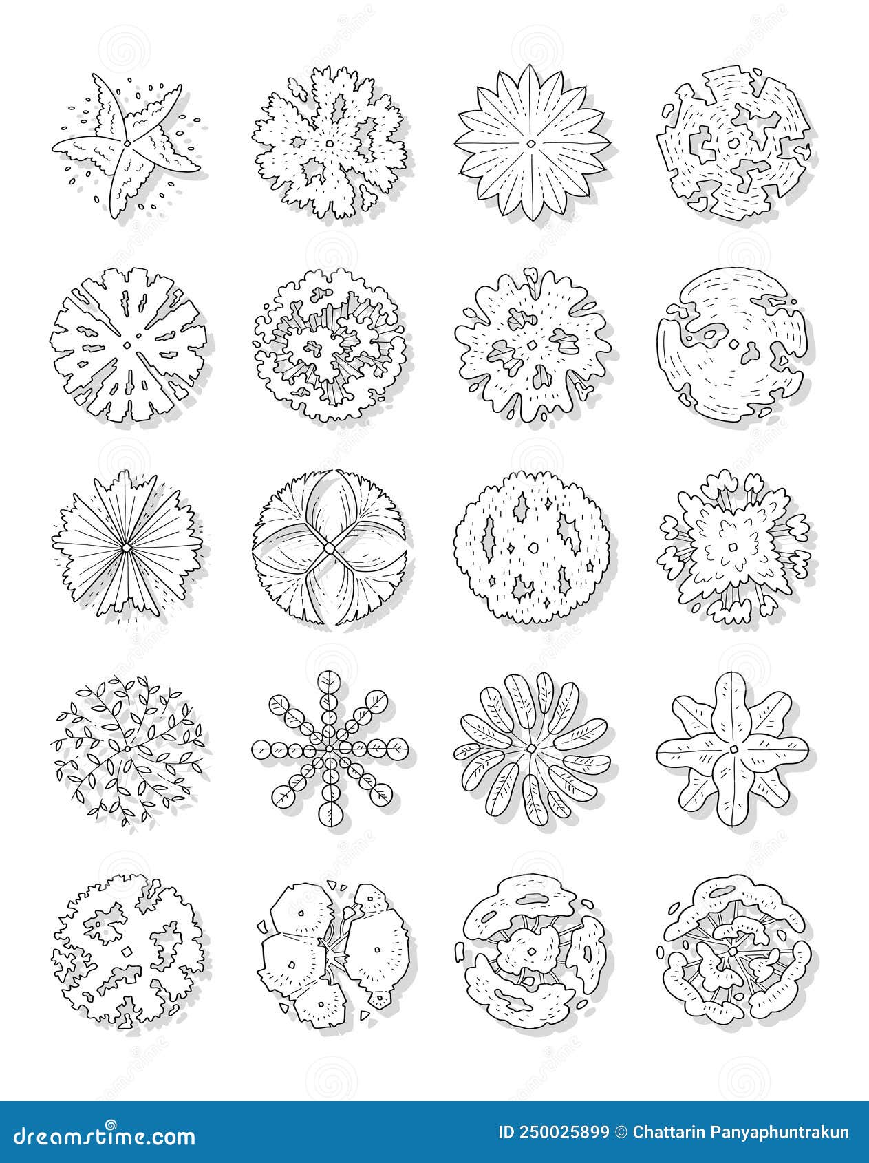 Hand Drawn Vector Set of Top View Trees Stock Illustration ...