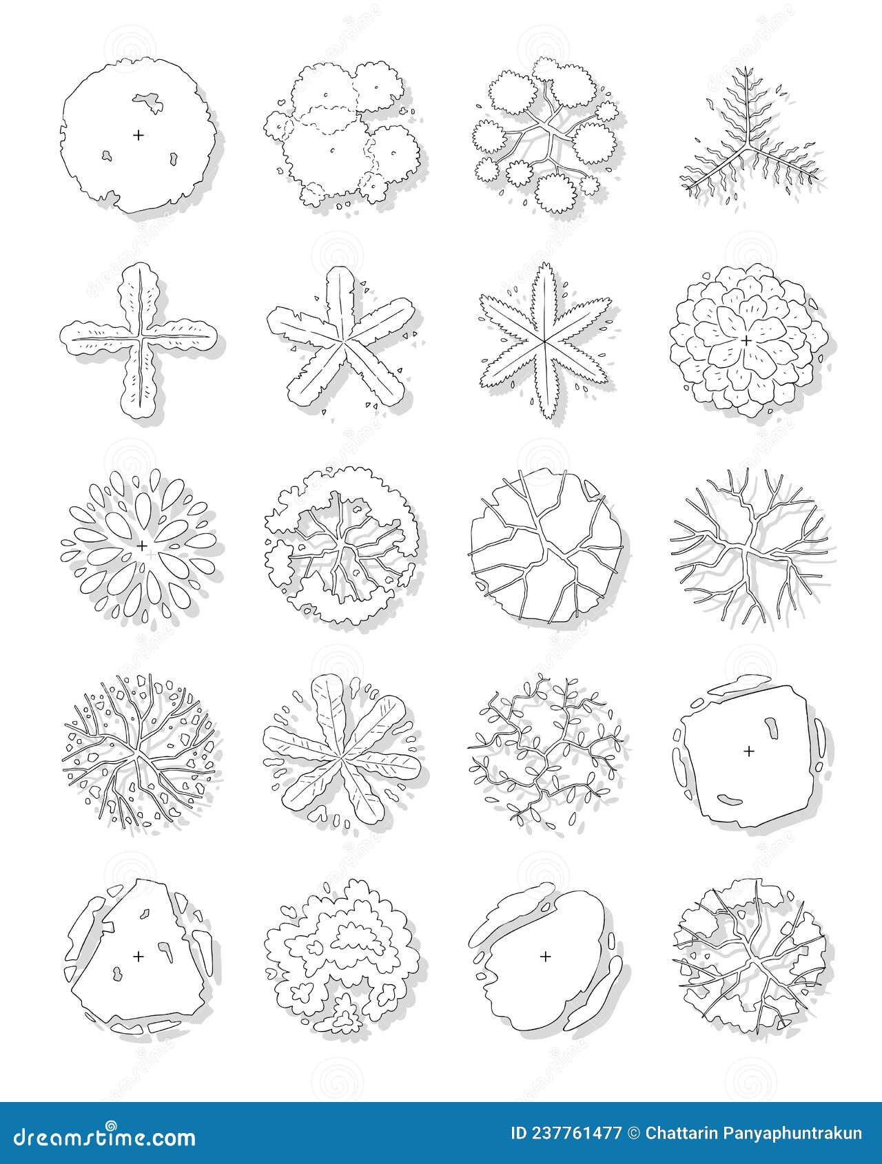 Hand Drawn Vector Set of Top View Trees Stock Illustration ...