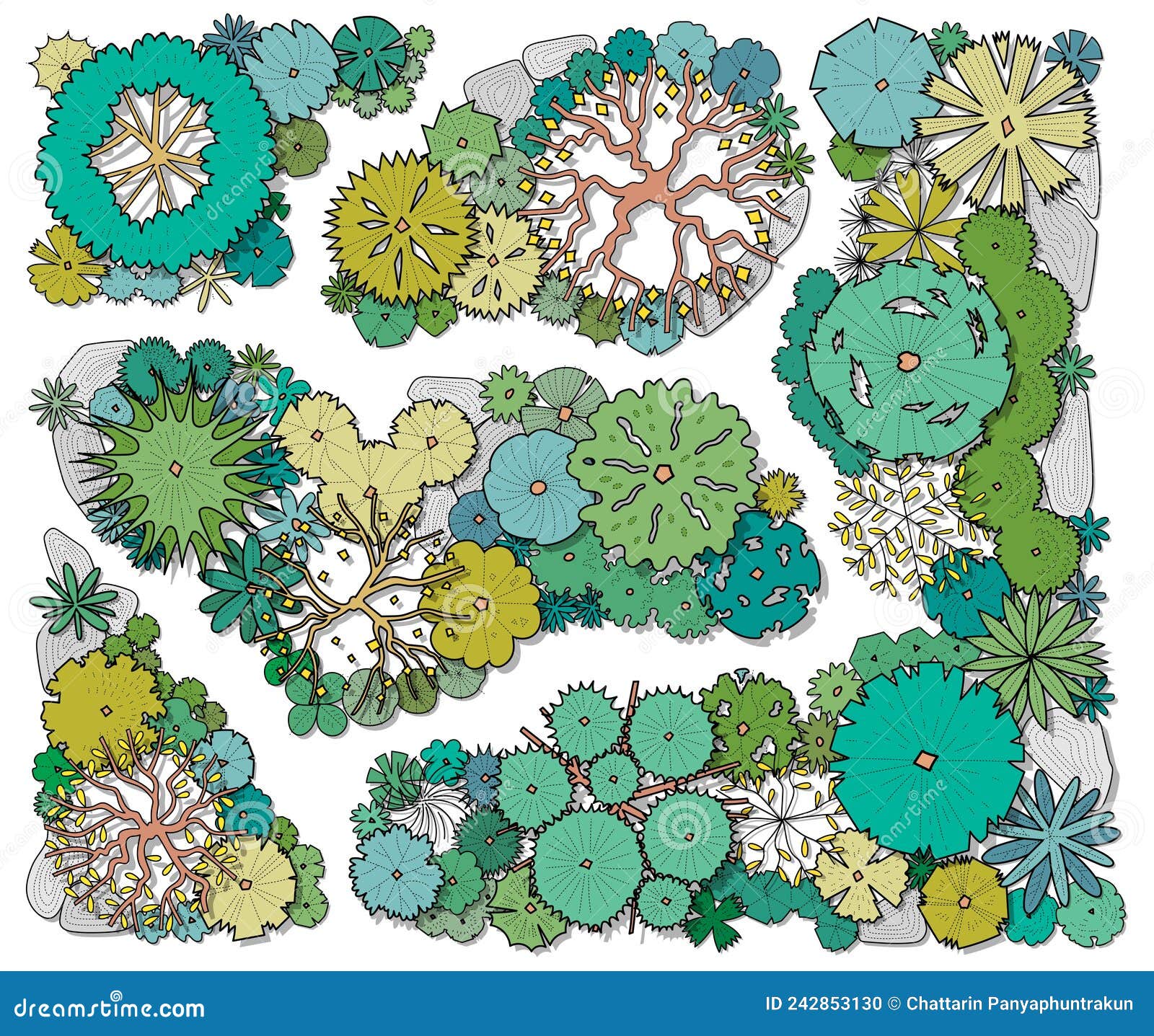 Hand Drawn Vector Set of Top View Trees Stock Vector - Illustration of ...