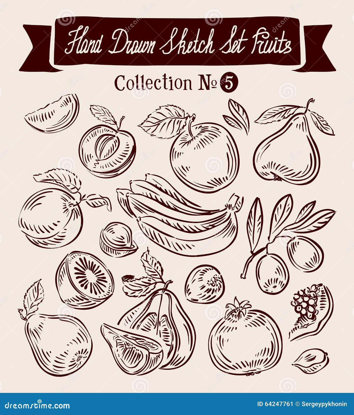 Hand Drawn Vector Sketch Collection Fruit Stock Vector - Illustration ...