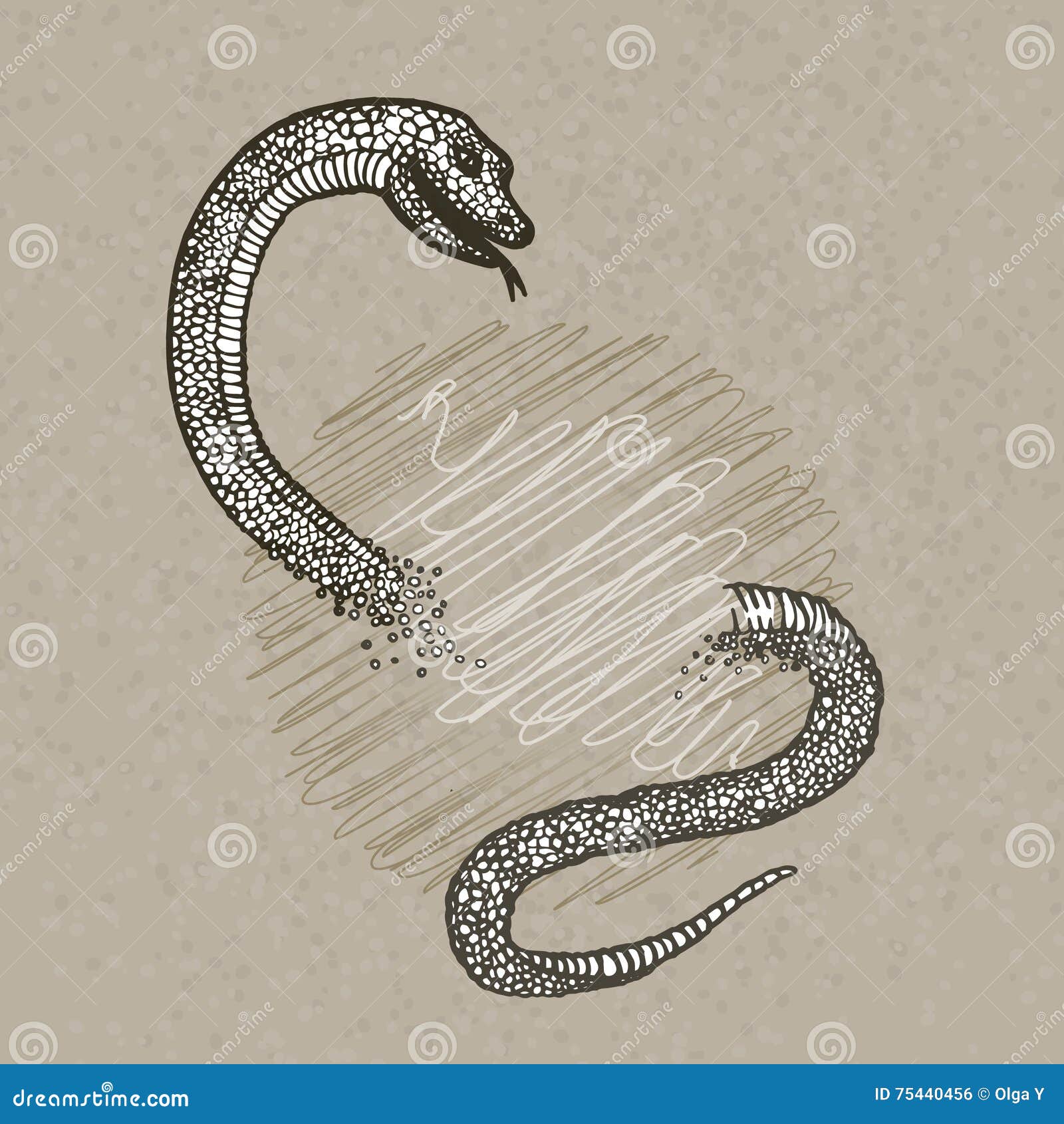 Hand drawn vector snake. stock vector. Illustration of element - 75440456