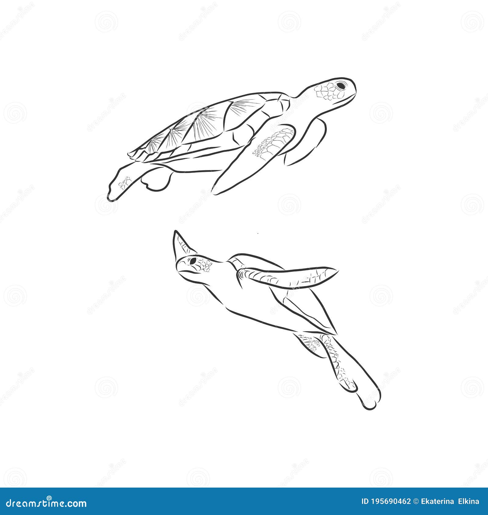 Hand Drawn Vector Turtle, Sea Turtle Vector Sketch Illustration Stock ...