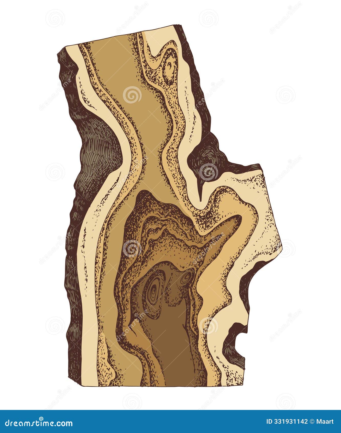 Hand Drawn Vector Wood Slab Stock Illustration - Illustration of ...
