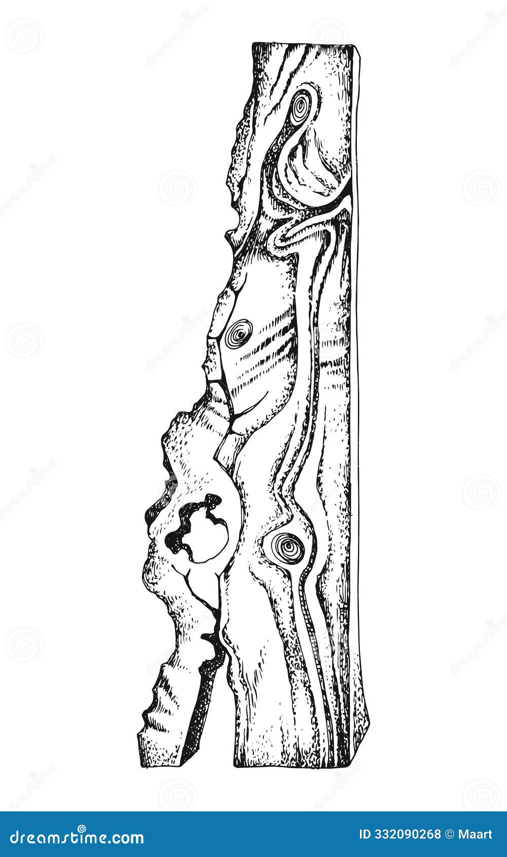 Hand Drawn Vector Wood Slab Stock Illustration - Illustration of ...