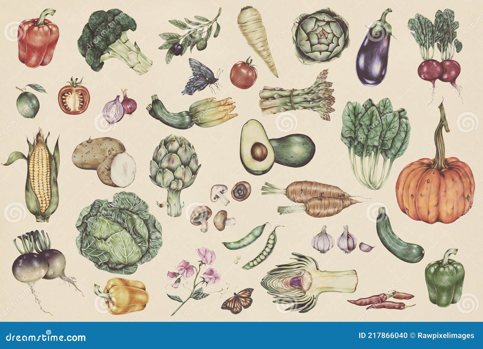 Hand Drawn Vegetable Pattern Illustration Stock Illustration ...