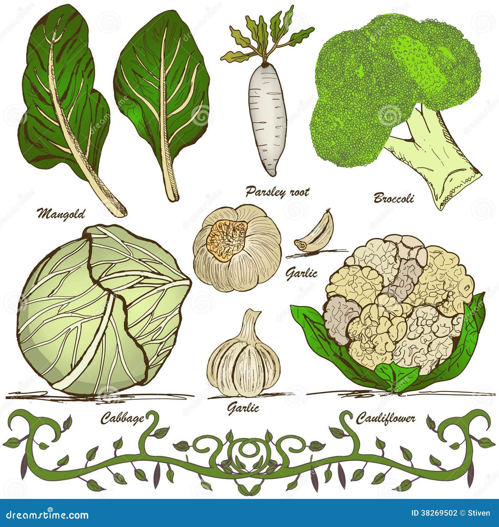 Hand drawn vegetable set 1 stock vector. Illustration of vegetarian ...