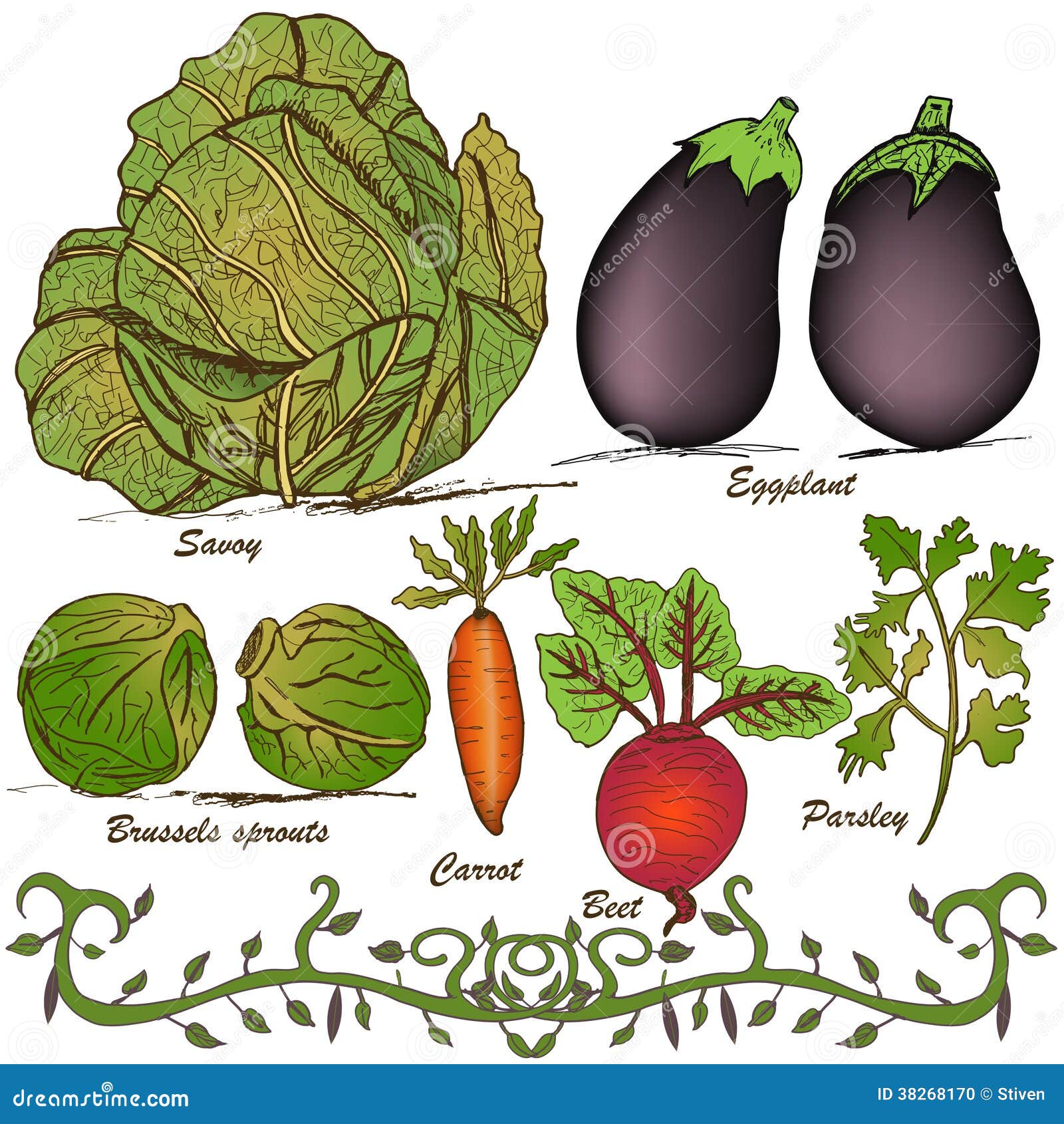 Hand drawn vegetable set 2 stock vector. Illustration of naturally ...