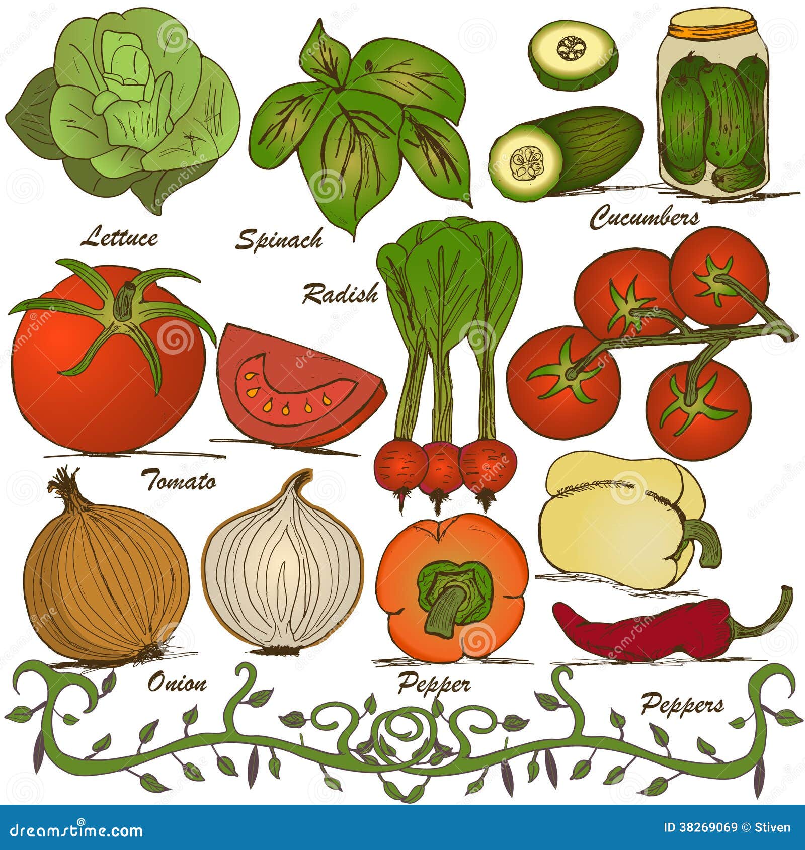 Hand drawn vegetable set 3 stock vector. Illustration of radish - 38269069