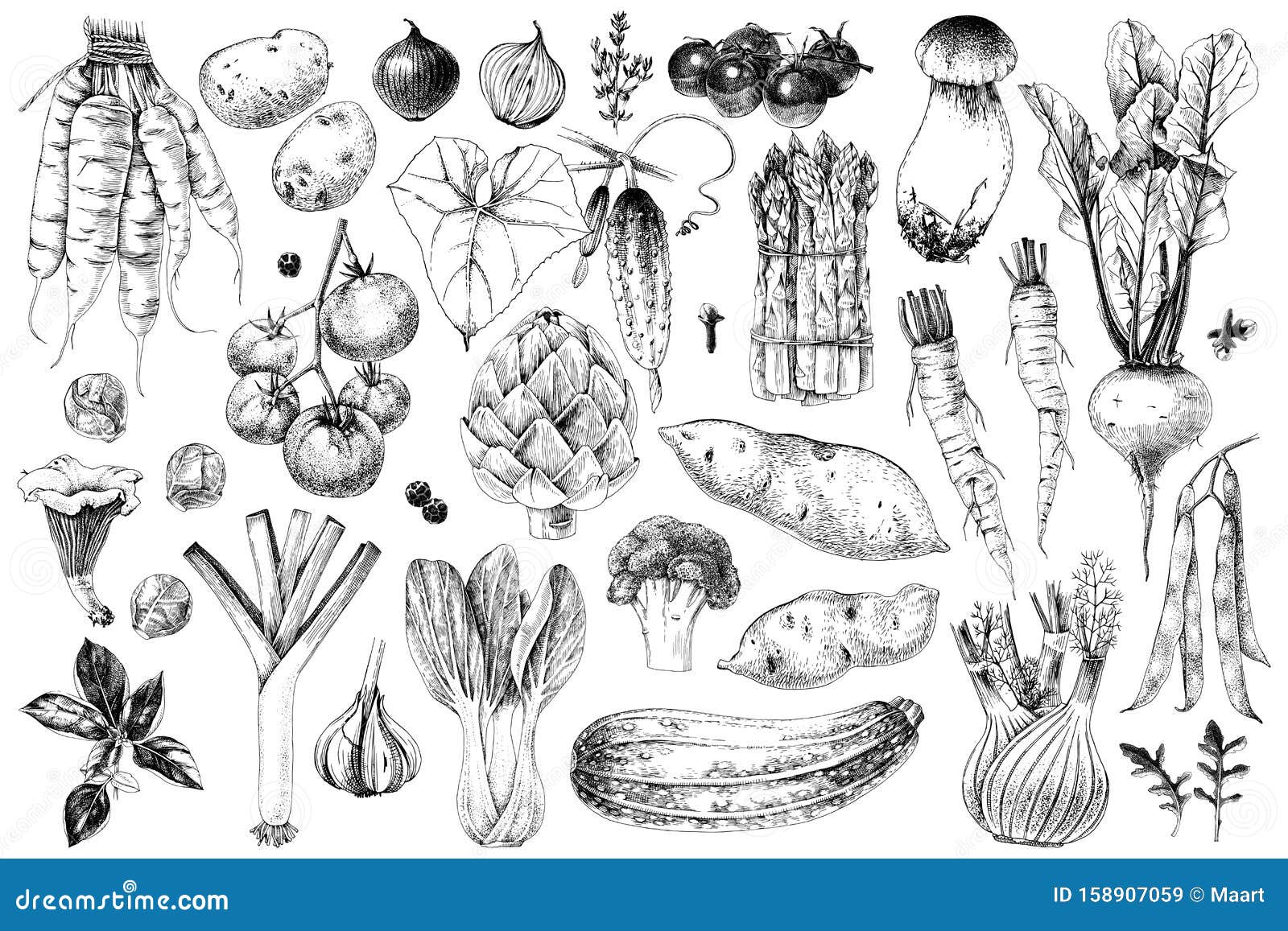 Hand Drawn Vegetables Collection Stock Vector - Illustration of farm ...