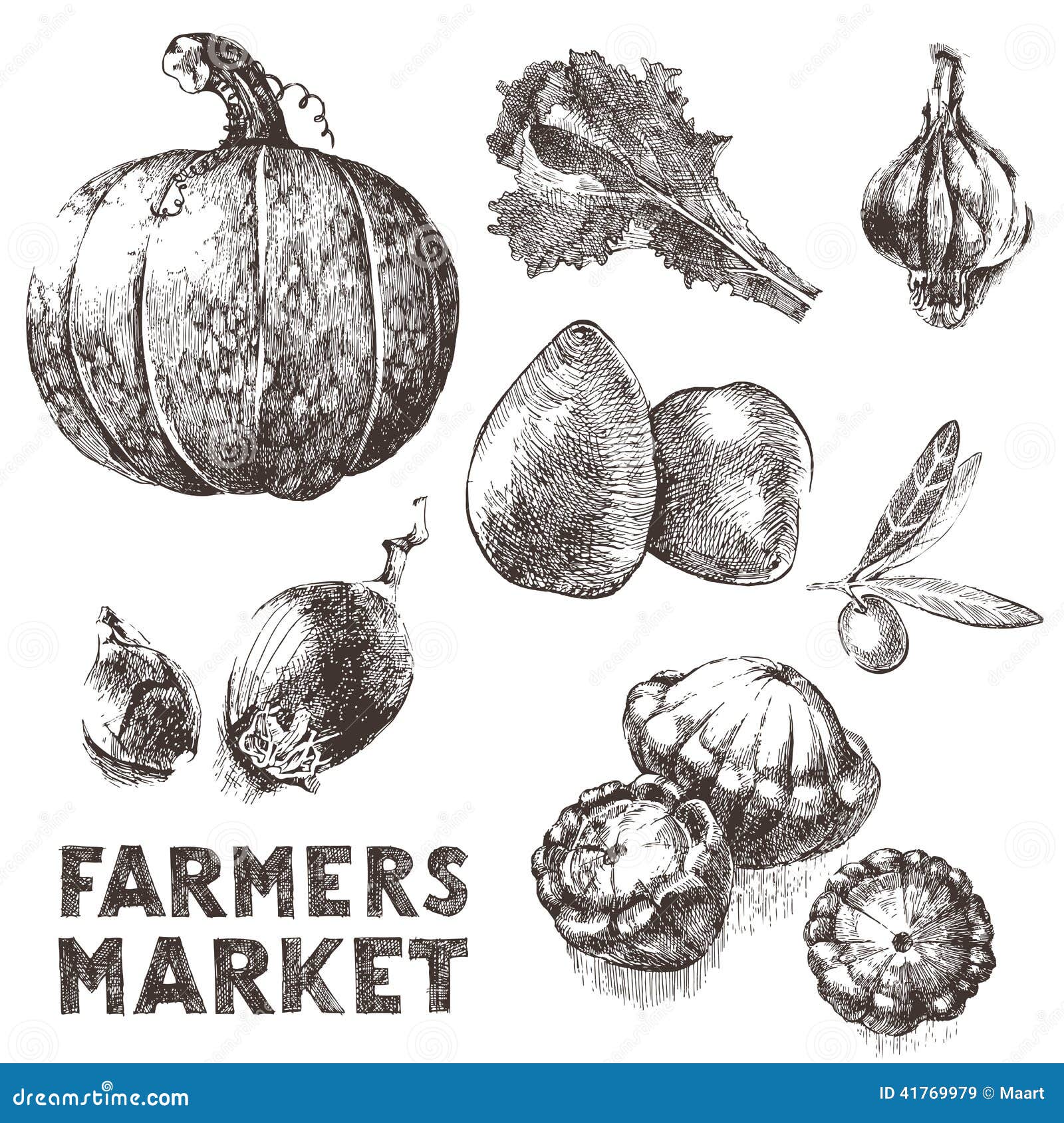 Hand drawn vegetables stock vector. Illustration of onion - 41769979