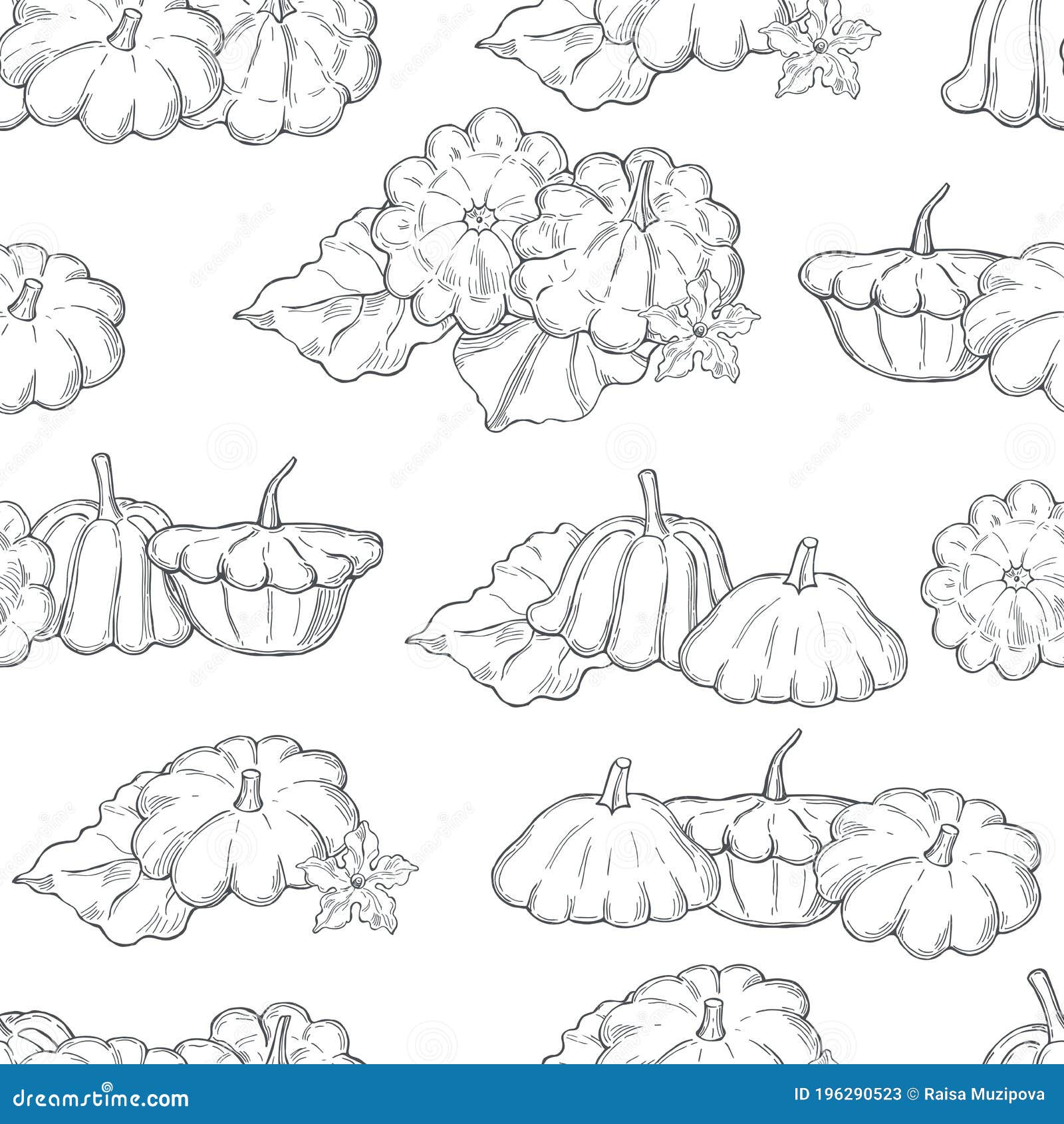 Hand Drawn Vegetables. Pattypan Squash Stock Vector - Illustration of ...