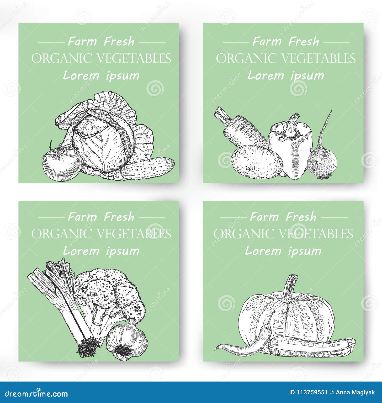 Hand Drawn Vegetables Posters Set. Vector Stock Vector - Illustration ...